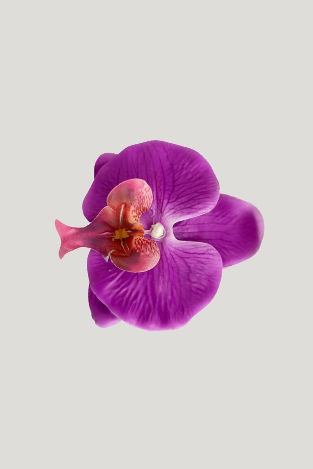 PENS-Aloha Orkide Çiçeği Süslü Çok Amaçlı Pens Toka - New Obsessions ...