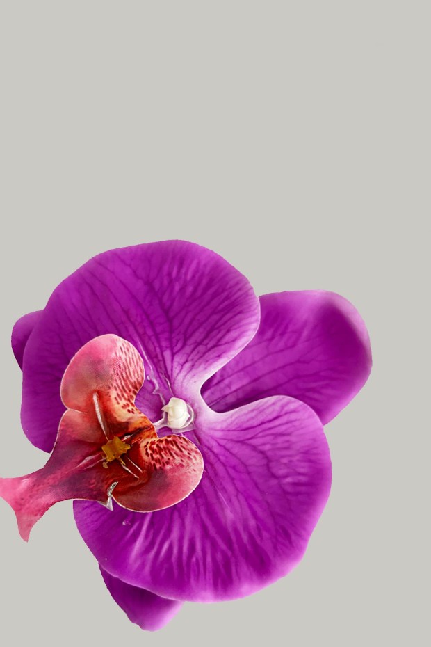 PENS-Aloha Orkide Çiçeği Süslü Çok Amaçlı Pens Toka - New Obsessions ...