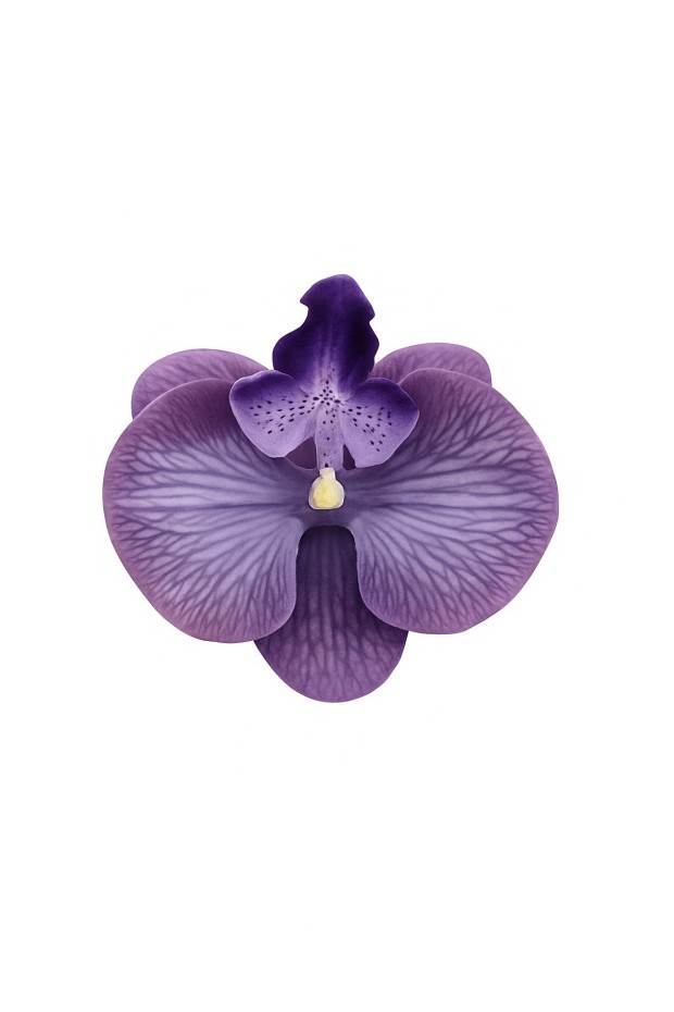 PENS-Aloha Orkide Çiçeği Süslü Çok Amaçlı Pens Toka - New Obsessions ...